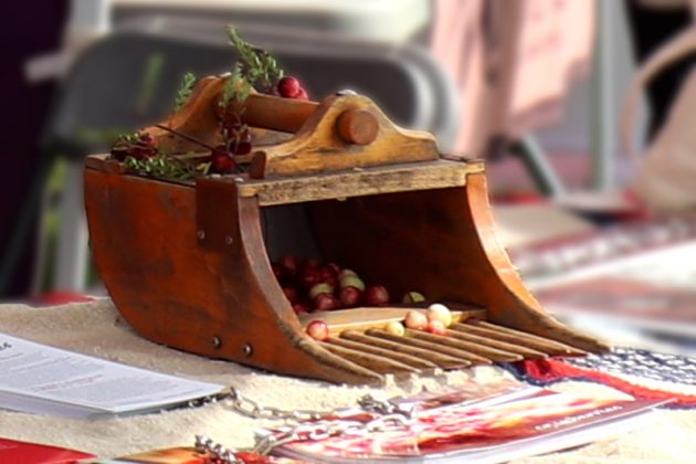 Cranberry: Native American Berry with Disease-Fighting Antioxidants